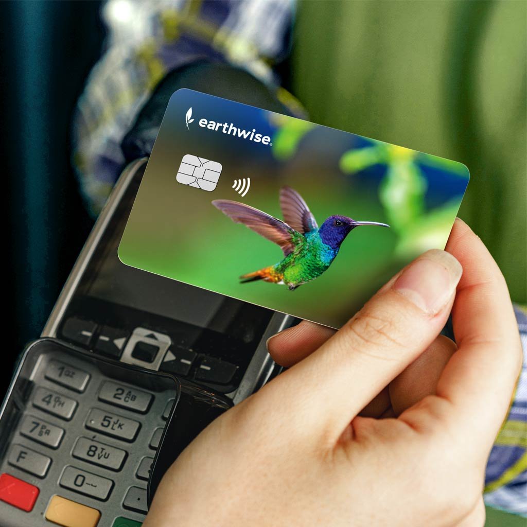 Product Sheet | Spotlight on Earthwise